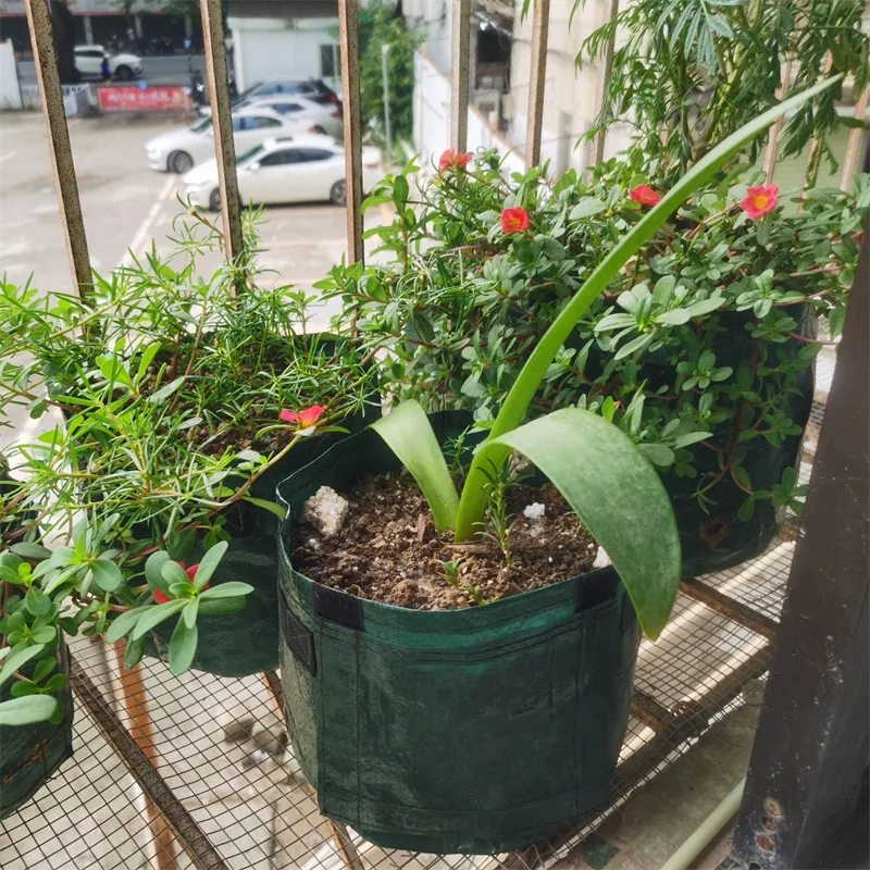 10 Gallon Flower Root Control Seedling Bag Pe Grow Bags For Plants ...