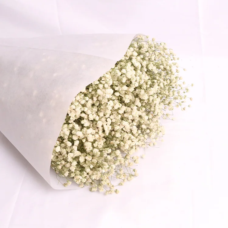 Preserved Gypsophila Bouquet - Baby's Breath Flowers