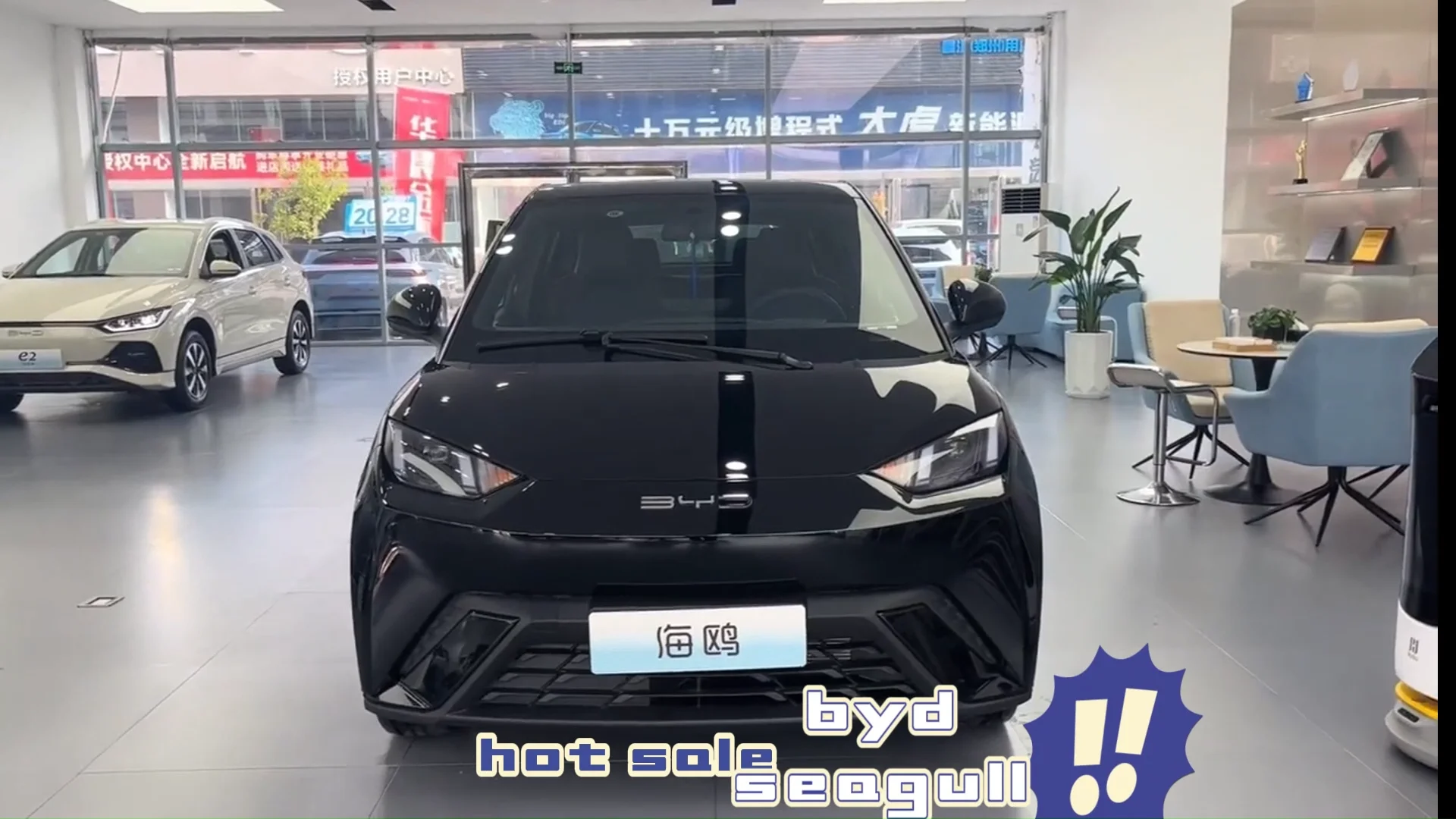 Byd Mini Ev Pure Electric Car New Cars Byd Seagull Fly 2024 405km 305km ...