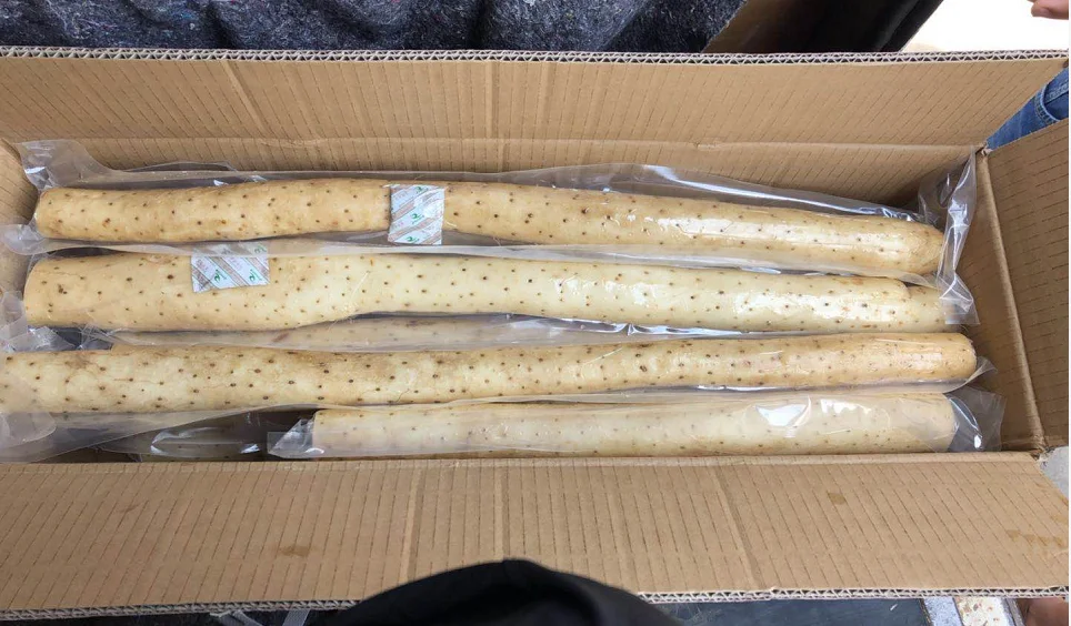 Wholesale Fresh Chinese Yam - Top Grade Quality & Taste