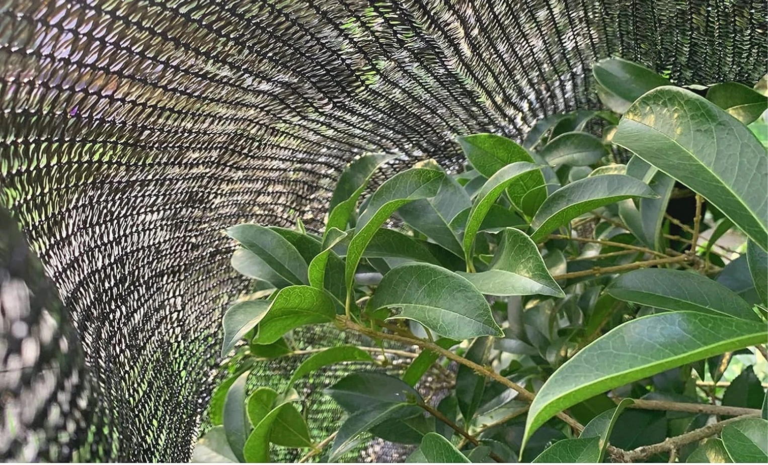 Agriculture Shade Net Shading Rate 30% 40% 50% 70% 80% 90% Sun Shade ...