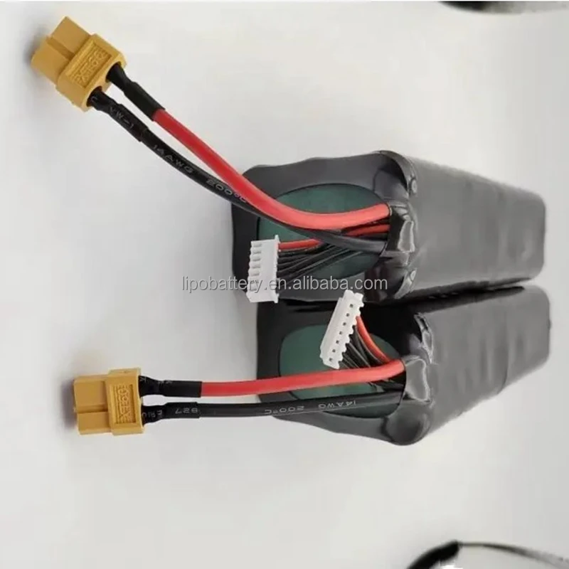 48v 52v 18650 21700 Cell 48v Lithium Ion Battery Replace Molicel P42a ...