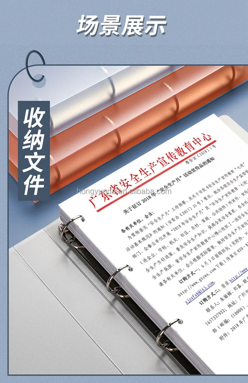 A4 PP Plastic File Folder - Eco-Friendly & Durable Organizer