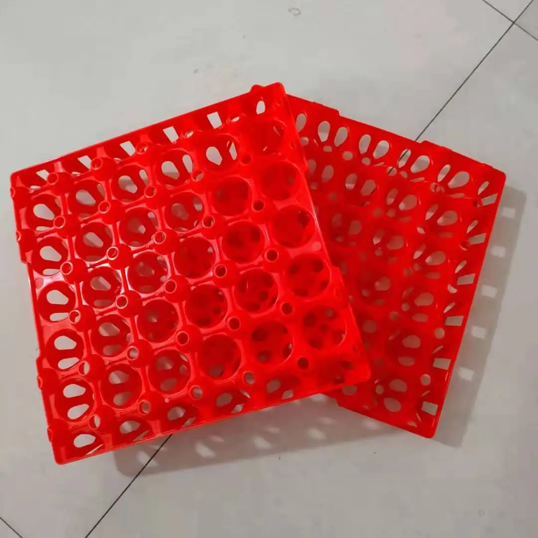 Egg Tray for Egg Transfer Cage - Durable Plastic Pallet