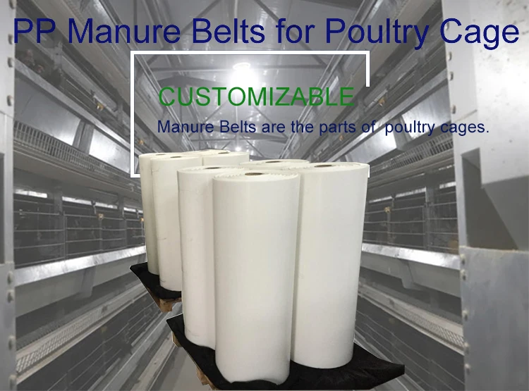 2025 PP Manure Belts for Chicken Farm Dung Conveyors Belts/Sheets ...