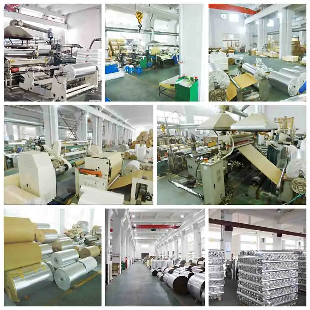 Blue Skin House Wall Wrap - Durable & Versatile Solutions