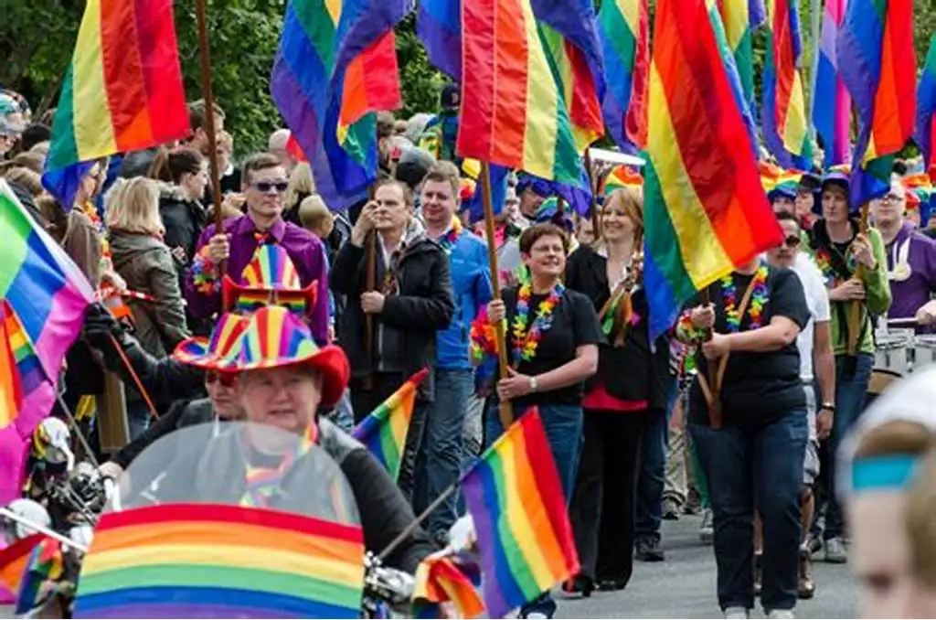 New Rainbow Pride Flag Pleated Fan Rainbow Bunting Half Fan Flag for ...