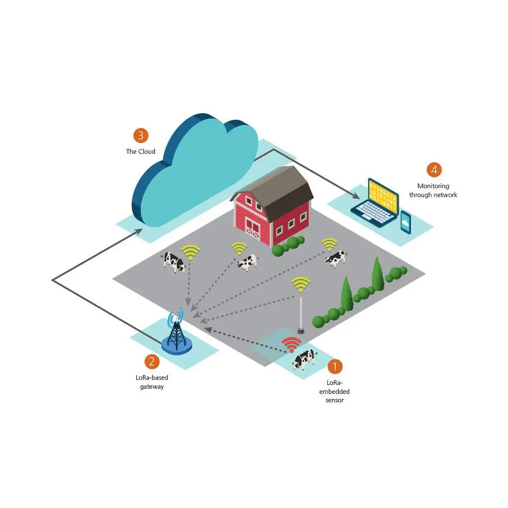 Lorawan Smart Electronic Bolus for Livestock Monitoring
