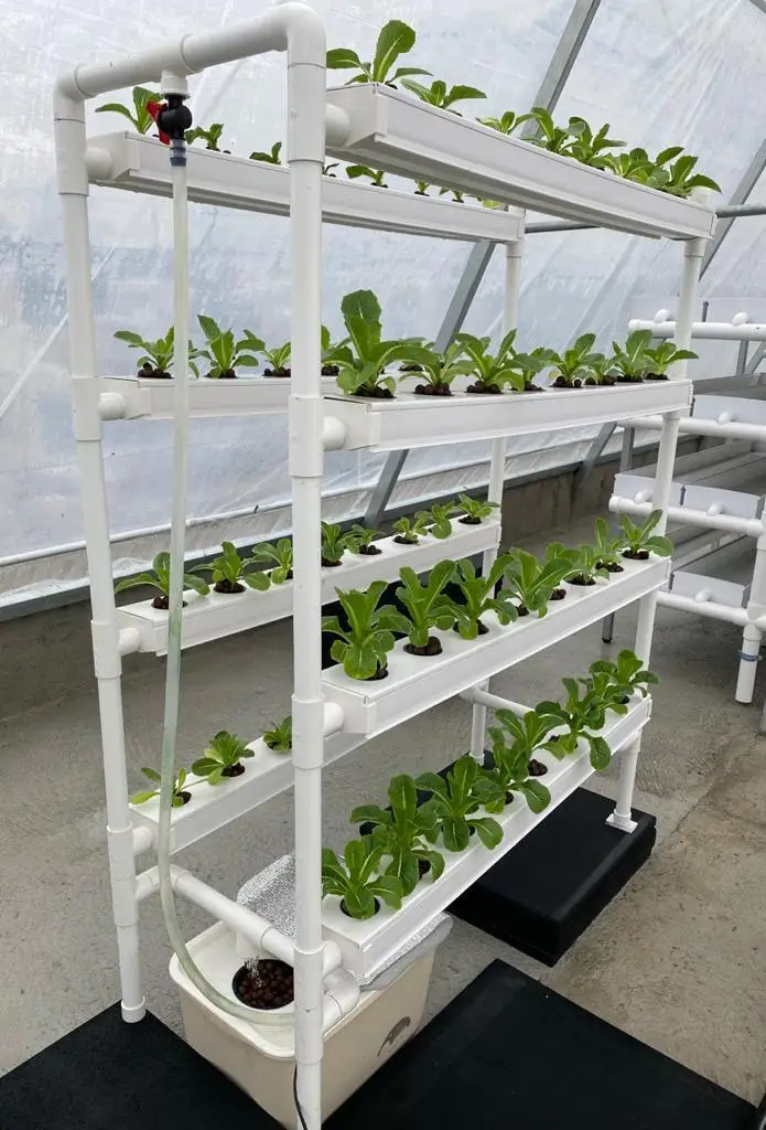 Hydroponics Trough Hydroponics Nft Channels Growing Systems Cultivation ...
