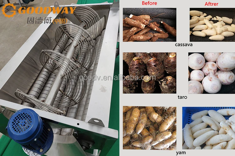 Stainless Steel Cassava Tuber Peeler - High Efficiency
