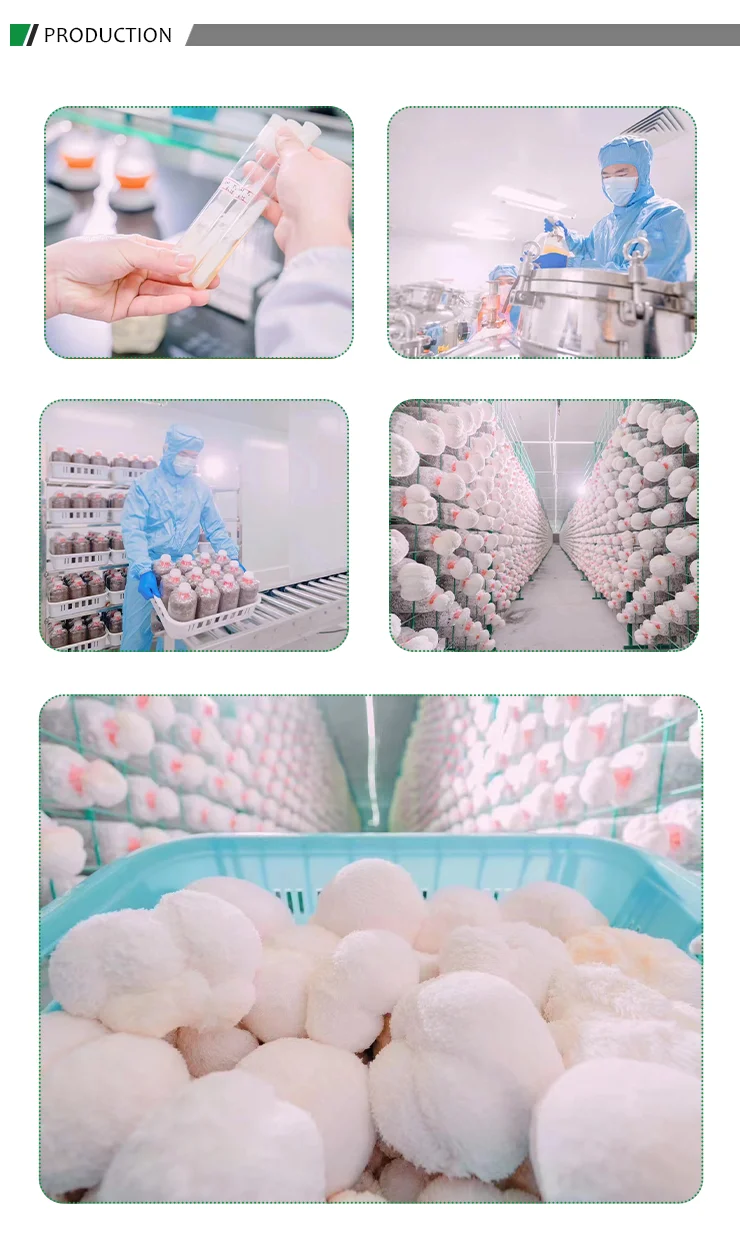 Oem Freshcap,Shroomies - Organic Mushroom Complex For Dogs Immunity ...