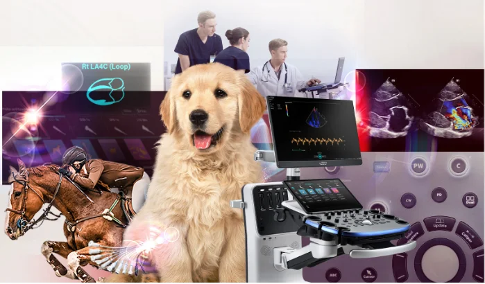 Mindray Vetus 7 Veterinary Ultrasound System – Color Doppler Imaging ...