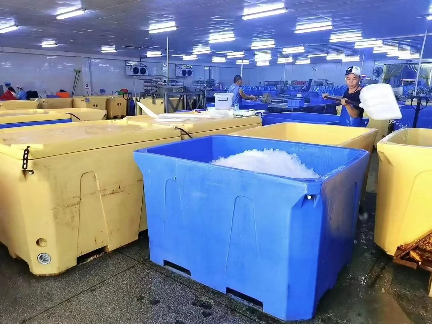 Stackable Rotational Molded Fish Transport Container Fish Cooler Box Pe ...