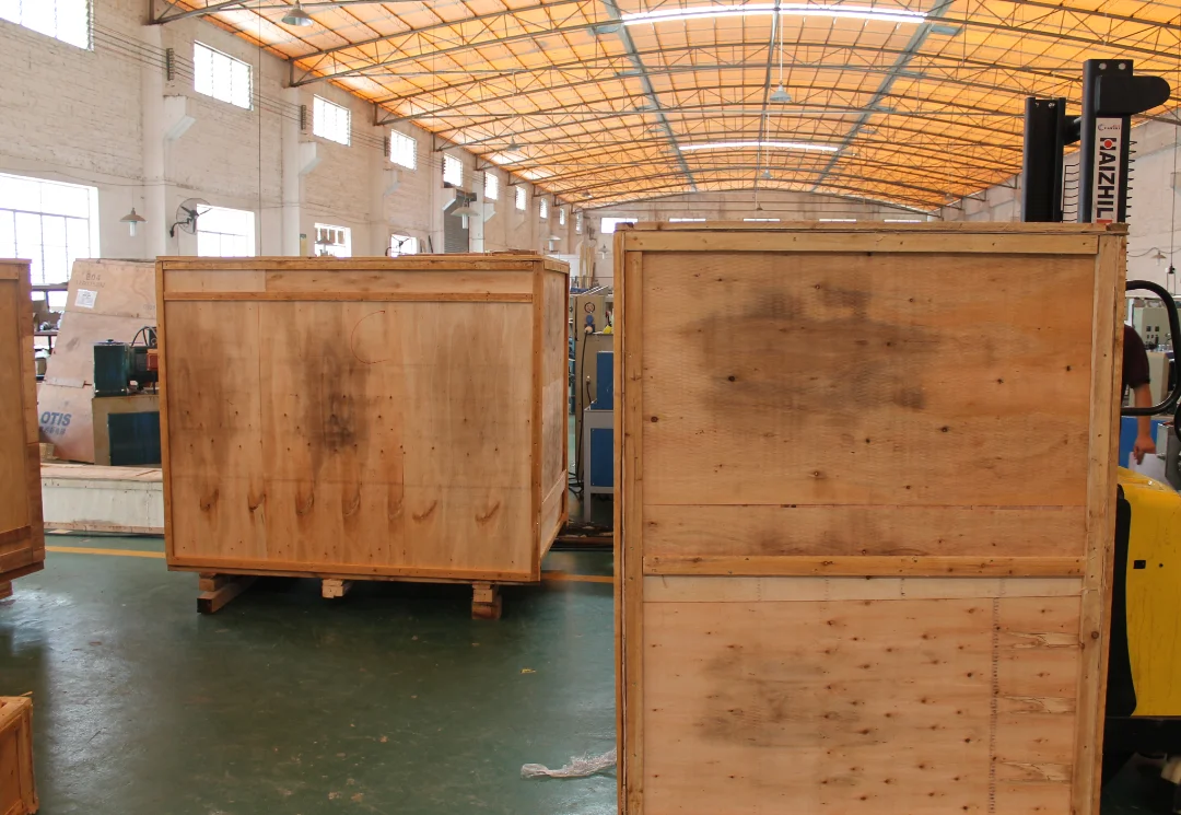 Fully Automatic Horizontal Frozen Chicken Packaging Fresh Meat Whole ...