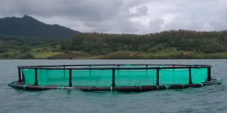 HDPE Fish Cage Floating Fish Cages with Aquaculture Trap for Fish Cage ...