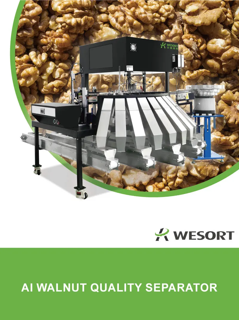 Wholesale Natural Organic First Grade White Walnuts In Shell Bulk Raw ...