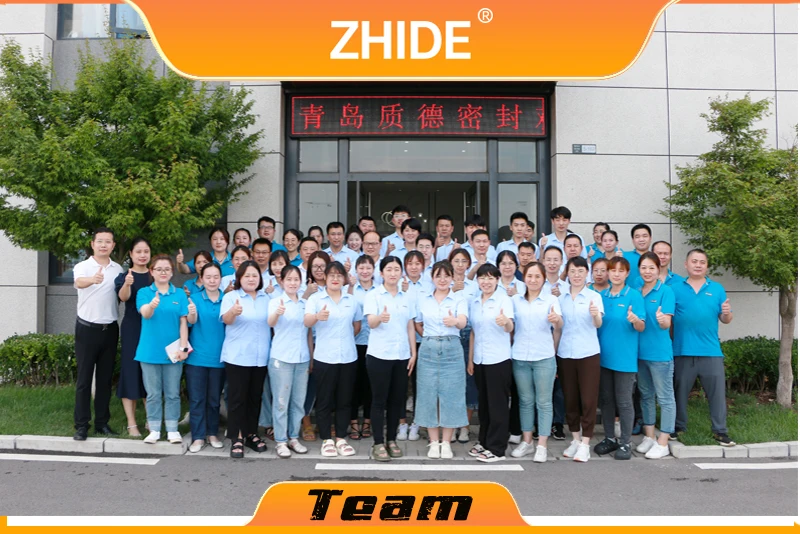 ZHIDE Gear Motor Oil Seal and Automotive Oil Seal NBR FKM TC 45*68*12 ...