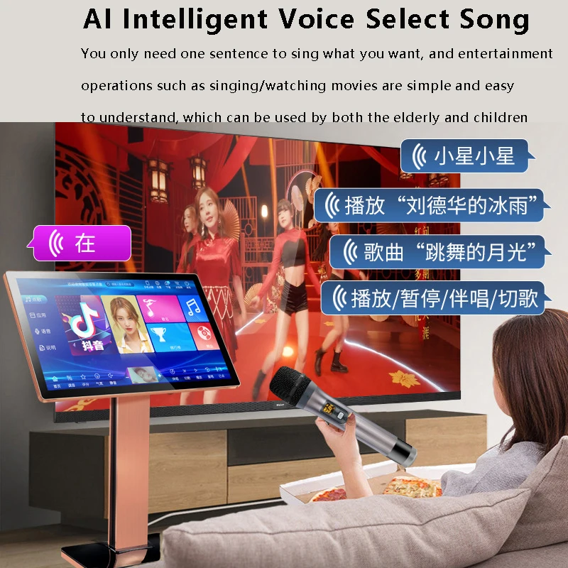 Professional Full Set Karaoke System With 12 Inch Speaker Built-in ...