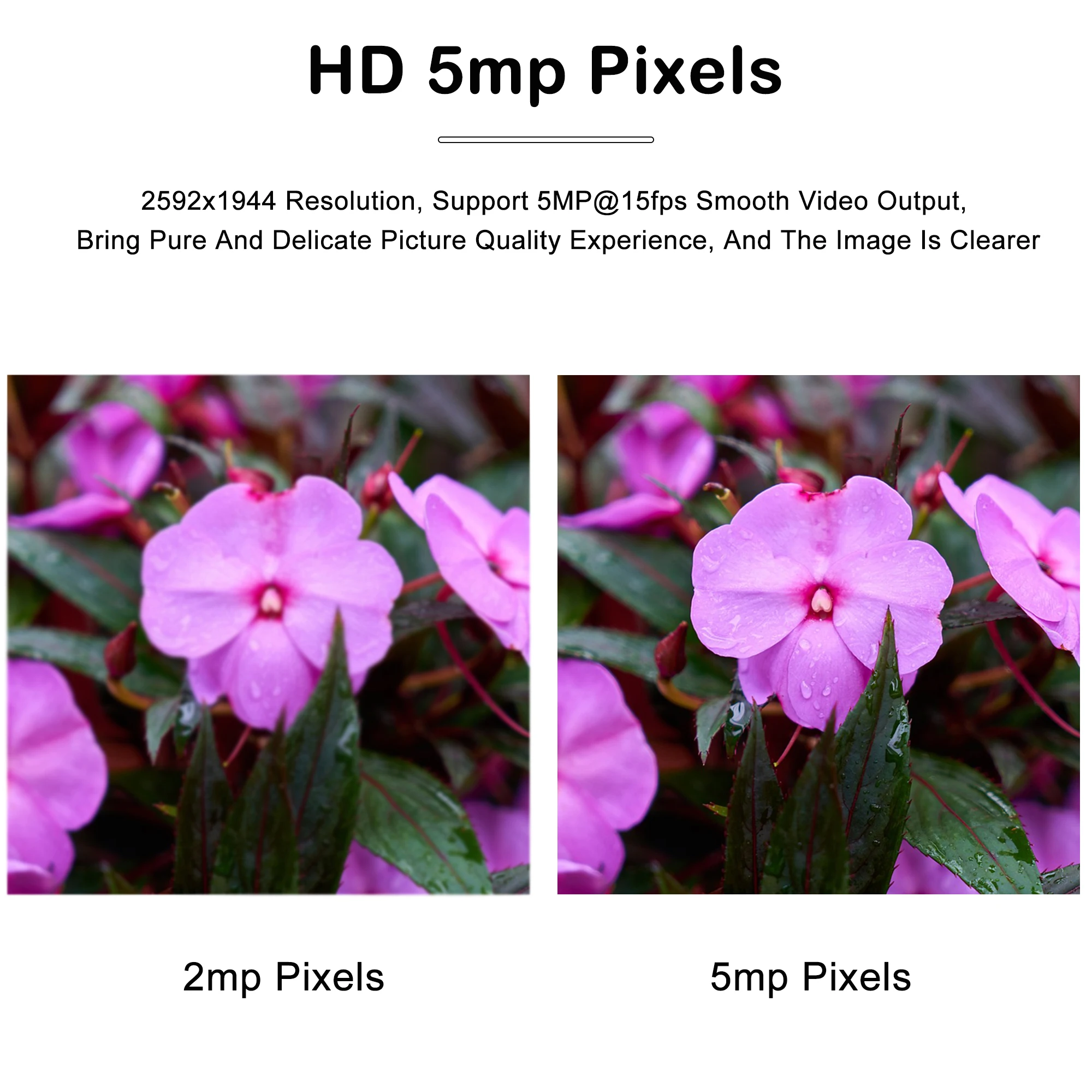 OmniVision OV5647 5MP RGB Raspberry Pi Camera Module - OEM | Wholesale