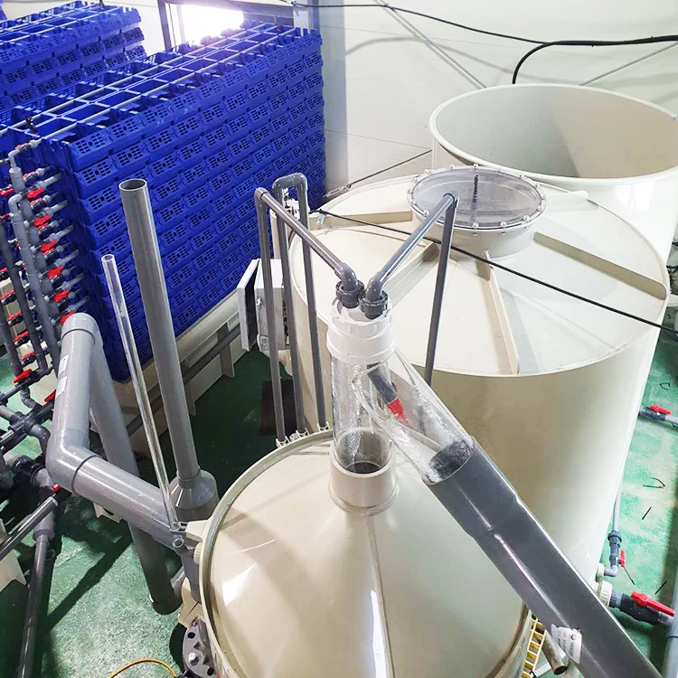 Plastic Crab Farming Boxes - Efficient Aquaculture Solutions