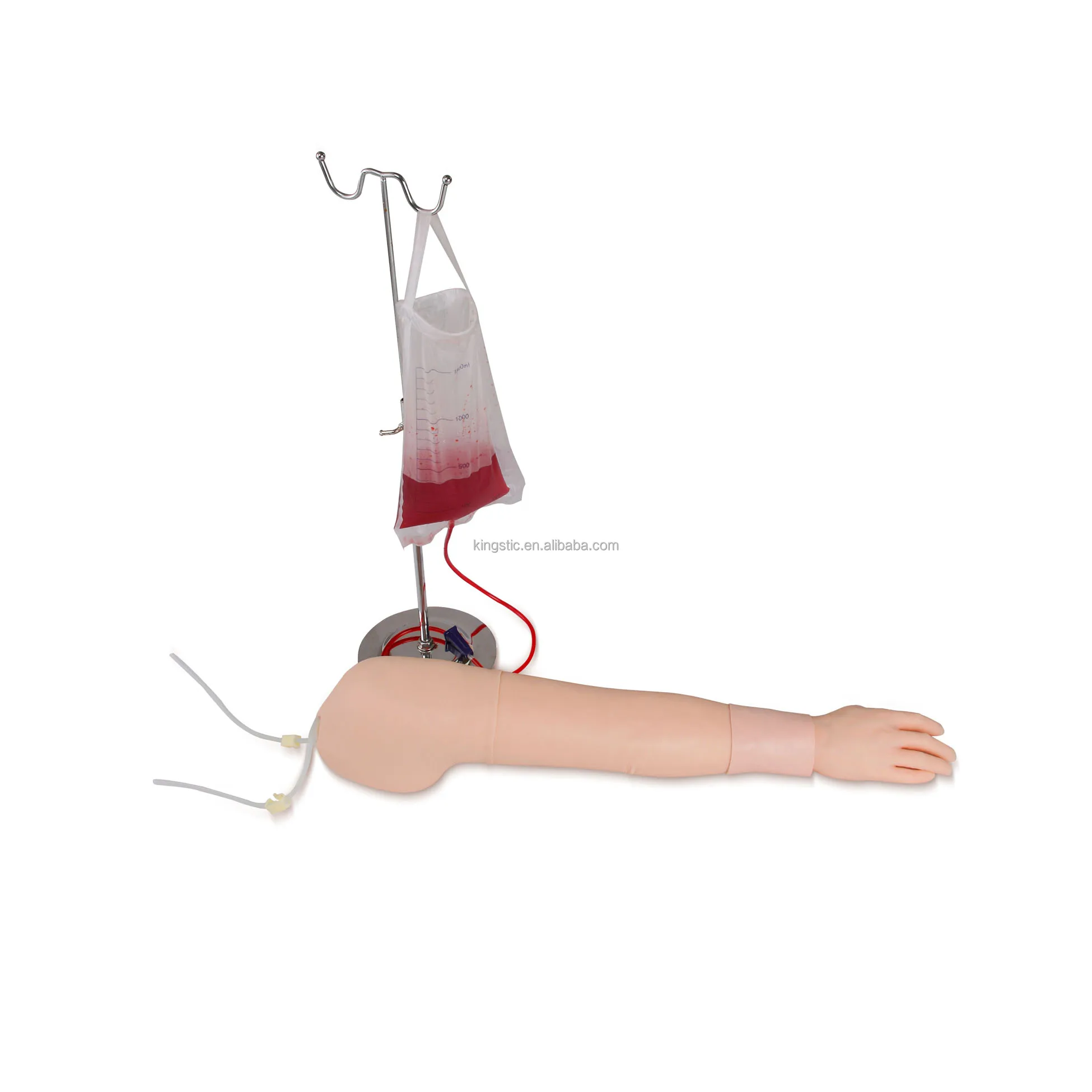 Medical Educational Multifunctional Venipuncture Injection Intravenous ...