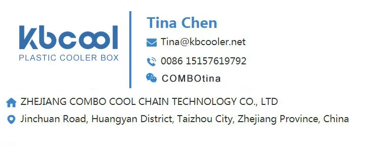 4.5L Mini Ice Cooler - Perfect for Outdoor Camping & Picnic