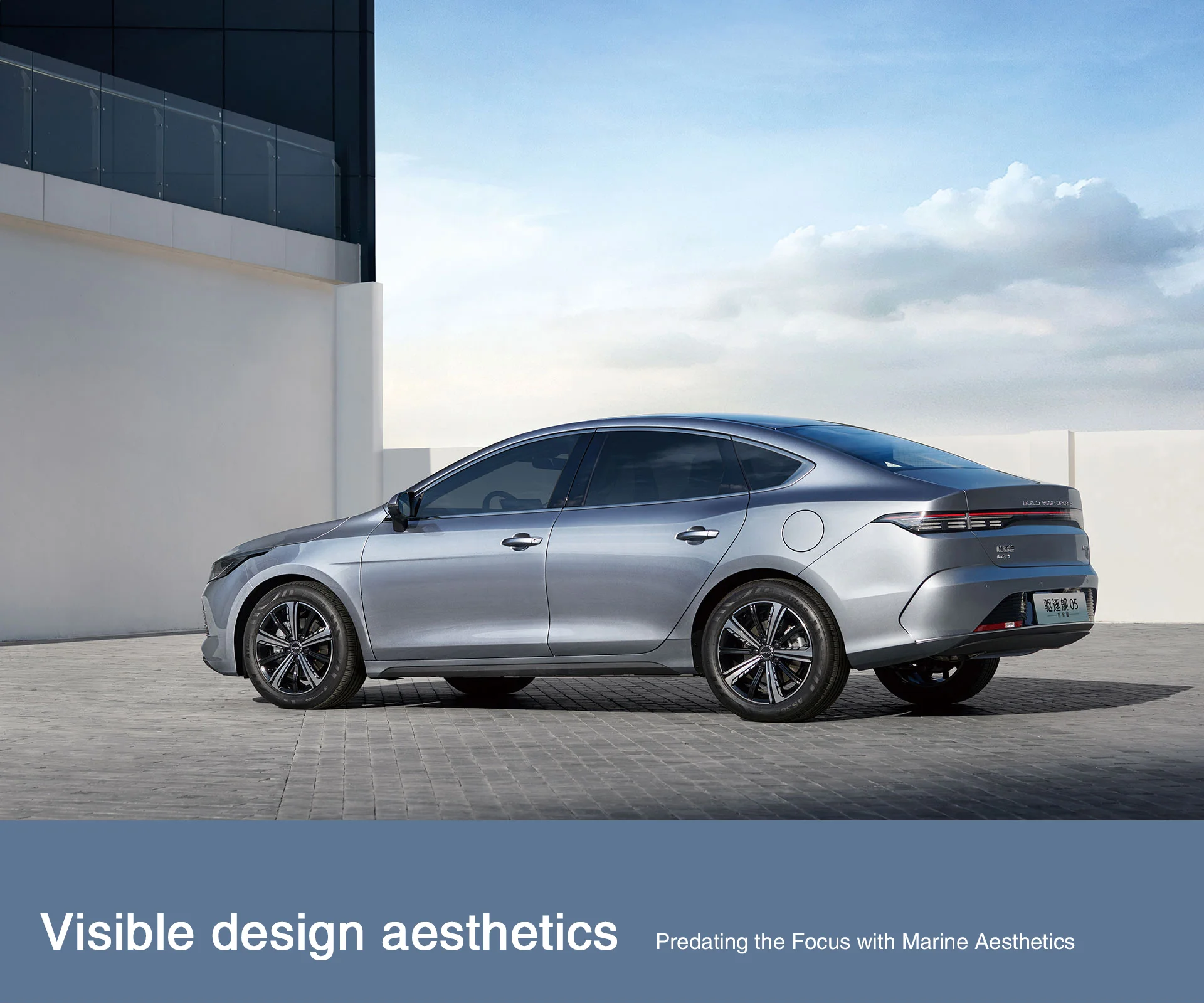 BYD 316 Electric Vehicle - New Energy for Chinese Auto Dealers