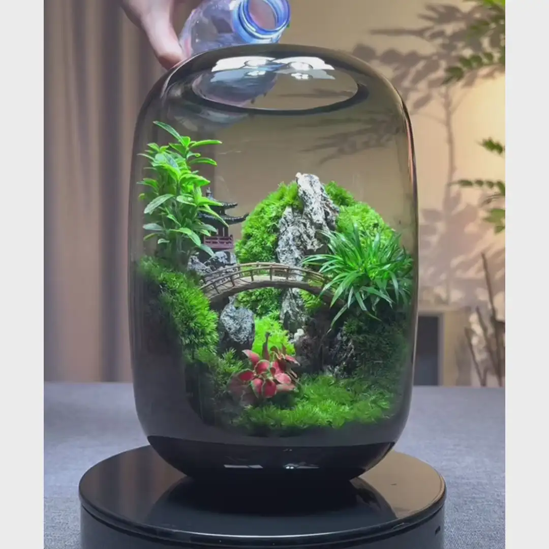Modern Farmhouse Design Zen Garden Terrarium Kit with Lamp Fiber ...