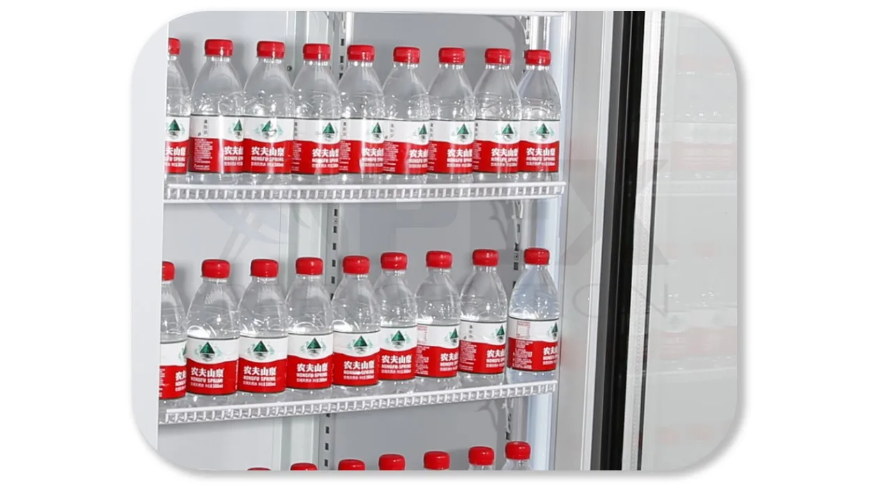 Double Doors Upright Showcase - Efficient Display Fridge