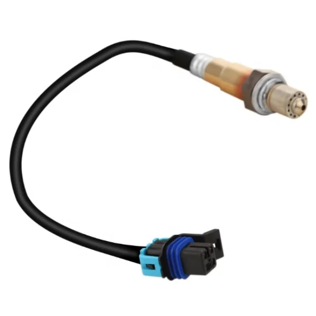 Holdwell Replacement New Oxygen Sensor 4011853 for Ranger LSF 4.2 ...