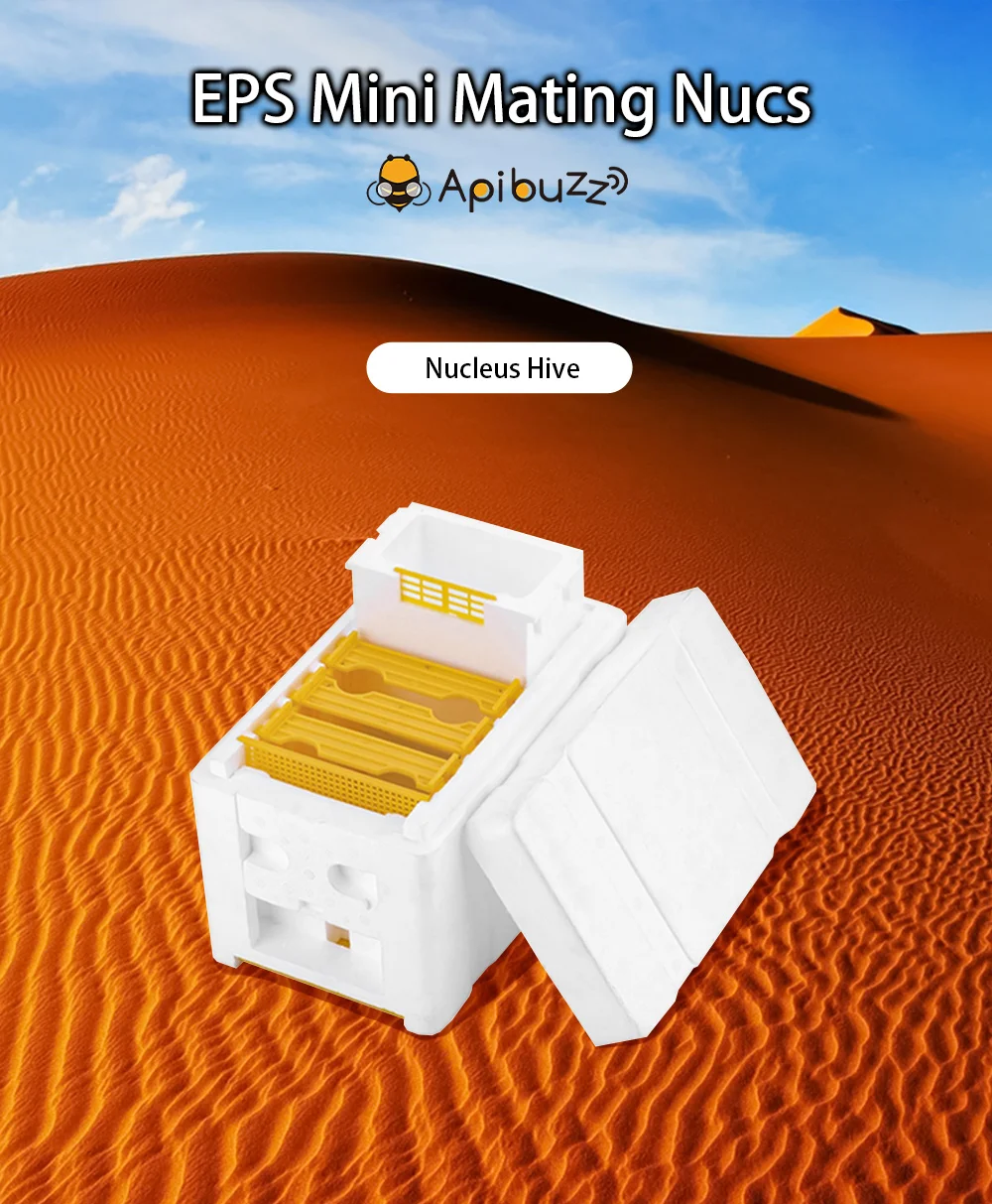 Queen Bee Mini Mating Nuc - Prevent Swarming & Split Colonies