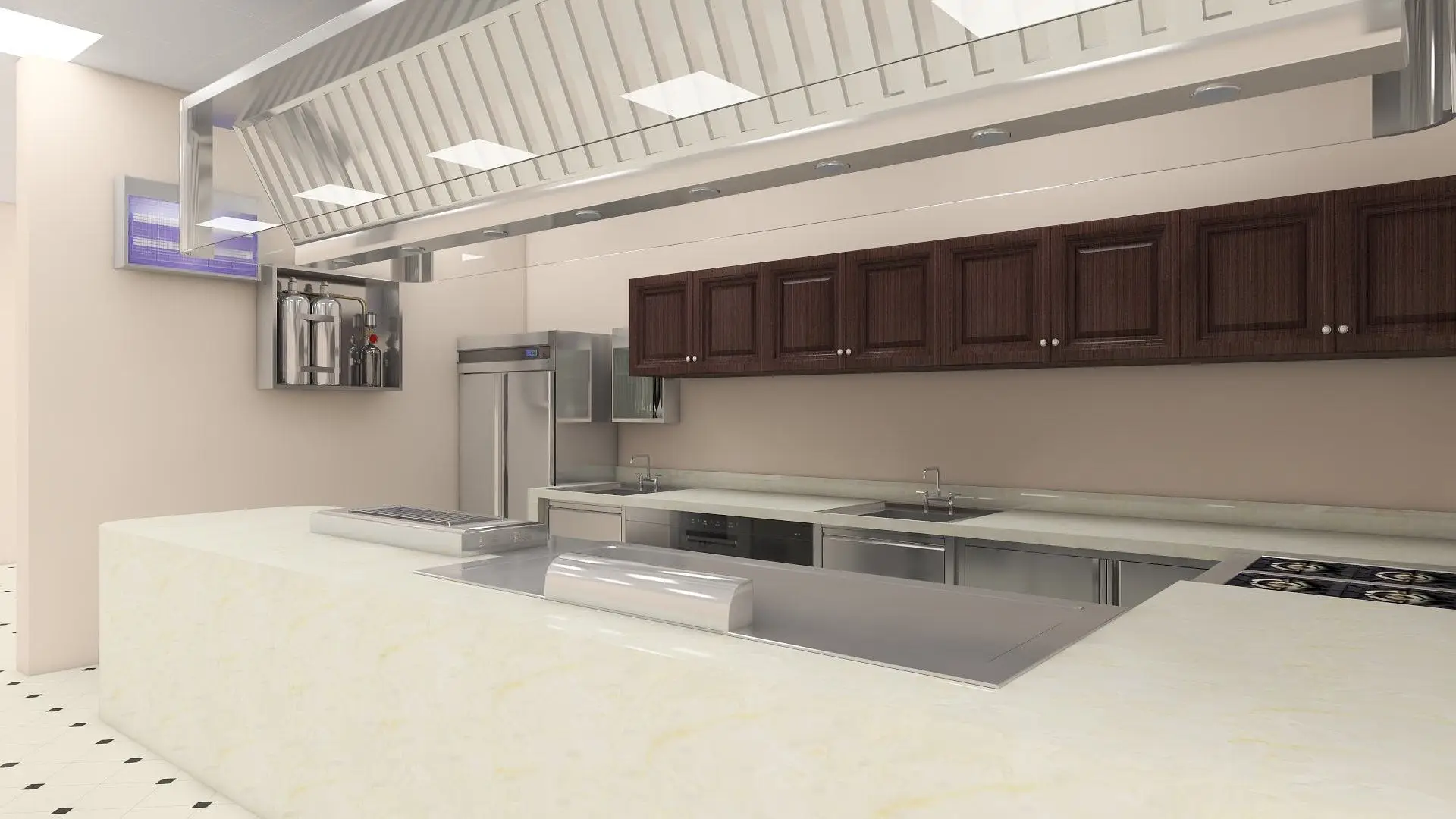 Stainless Steel Kitchen Suction Smoking Machine Kitchen Exhaust Hood ...