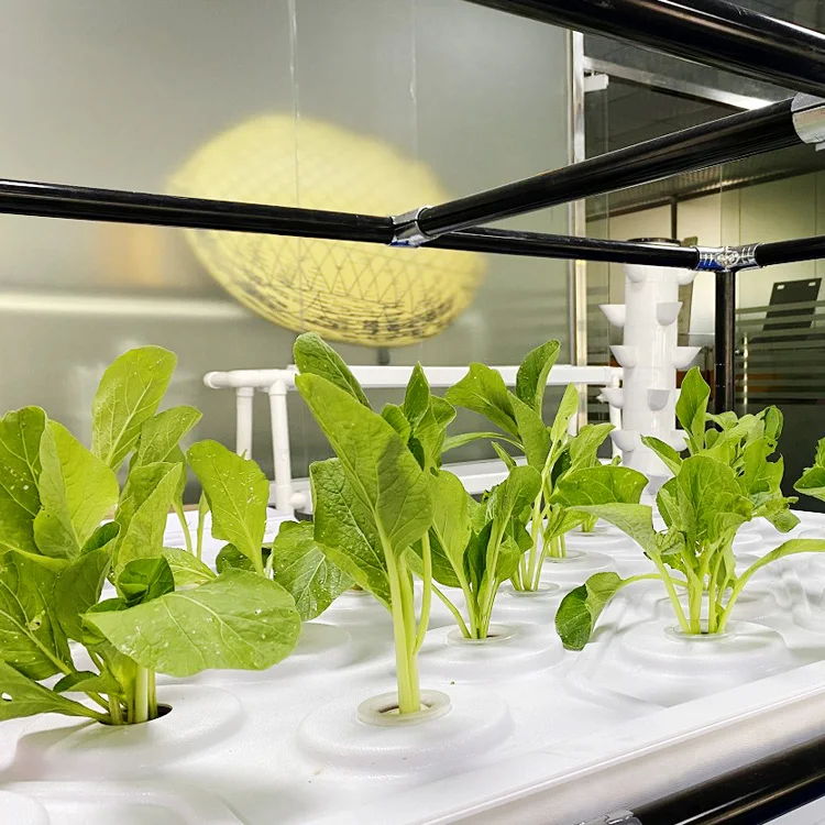 New Irrigation Control System 1.2m 2 Layers Hydroponic Growing Rack ...