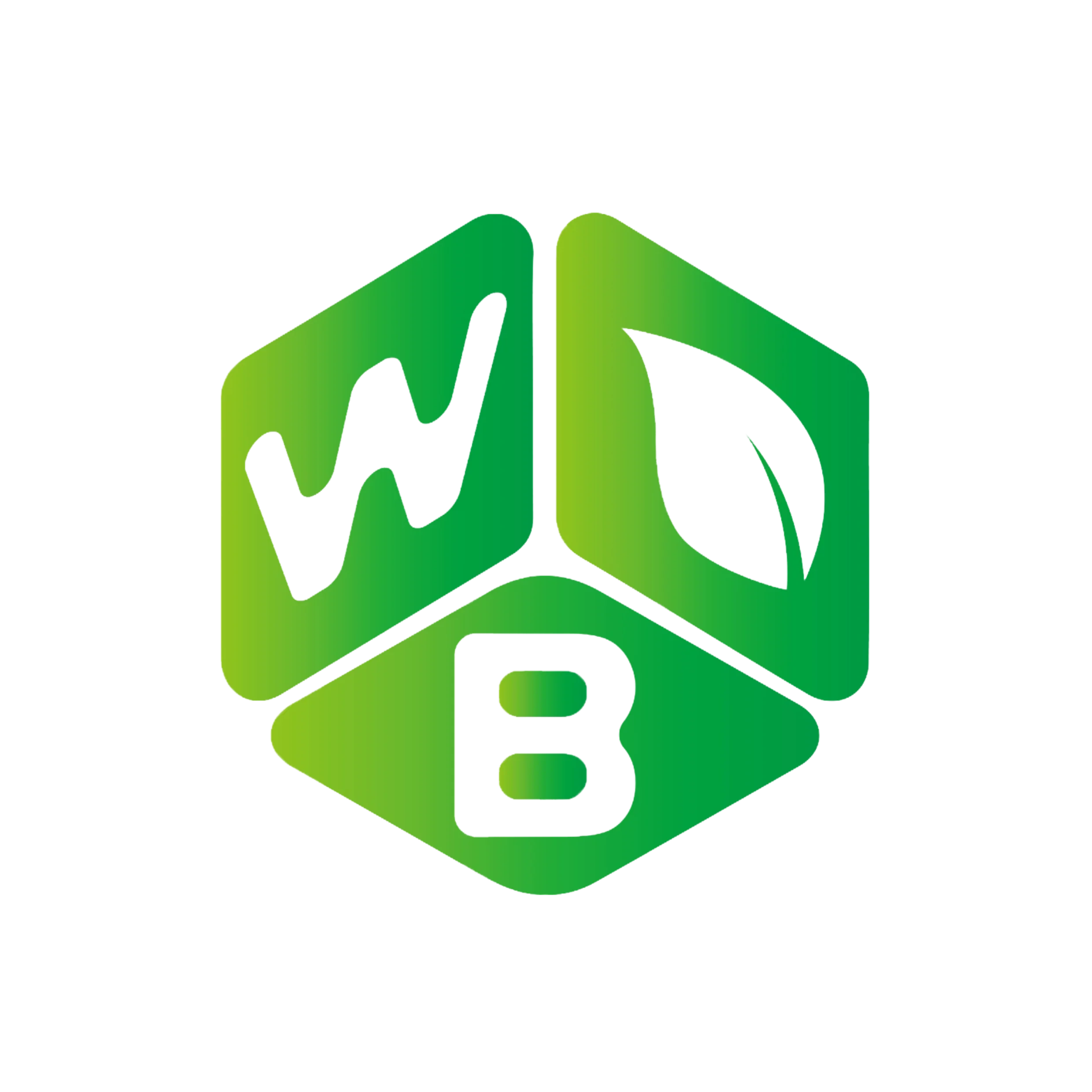Company Overview - WOBO Industrial Group Inc