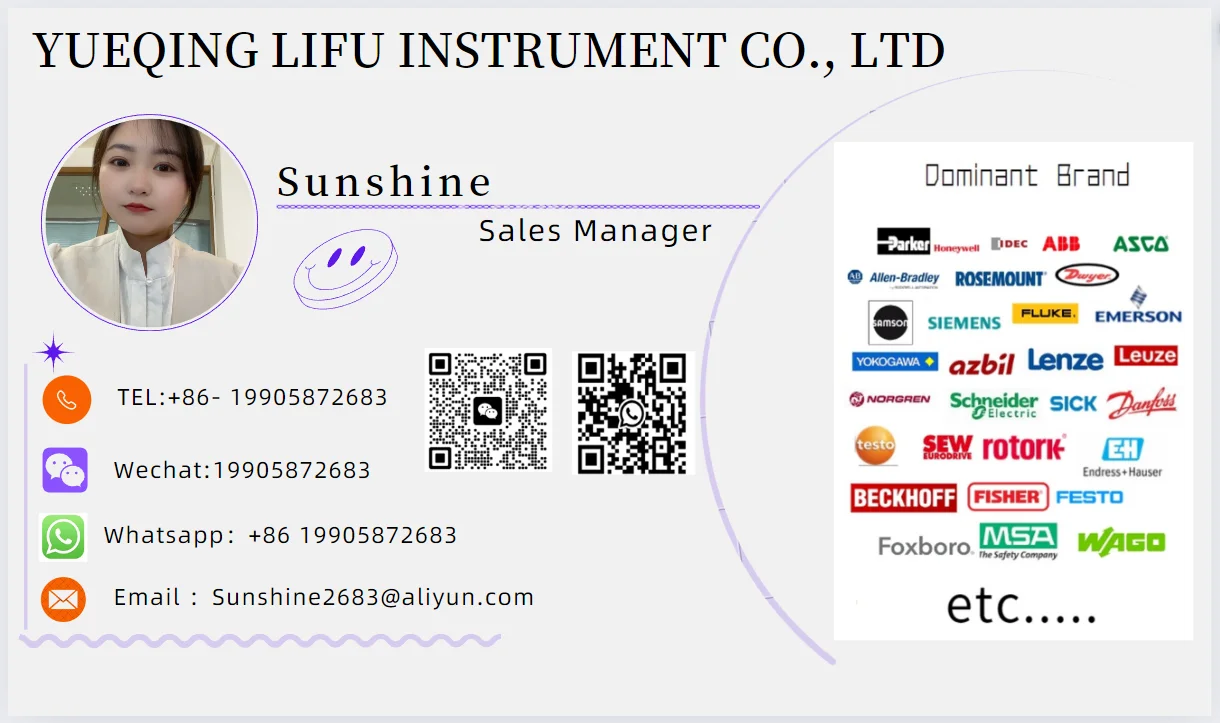 Original RAE Systems Multi-RAE Lite PGM-6208 Portable Multi-Gas Monitor ...
