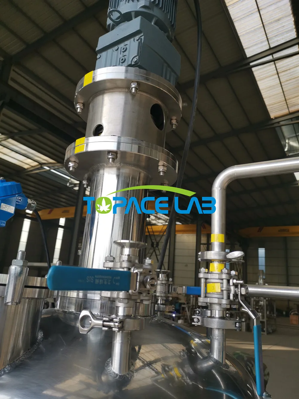 Topacelab 50l-500l Jacketed Biological Reactor With Agitator Stainless ...