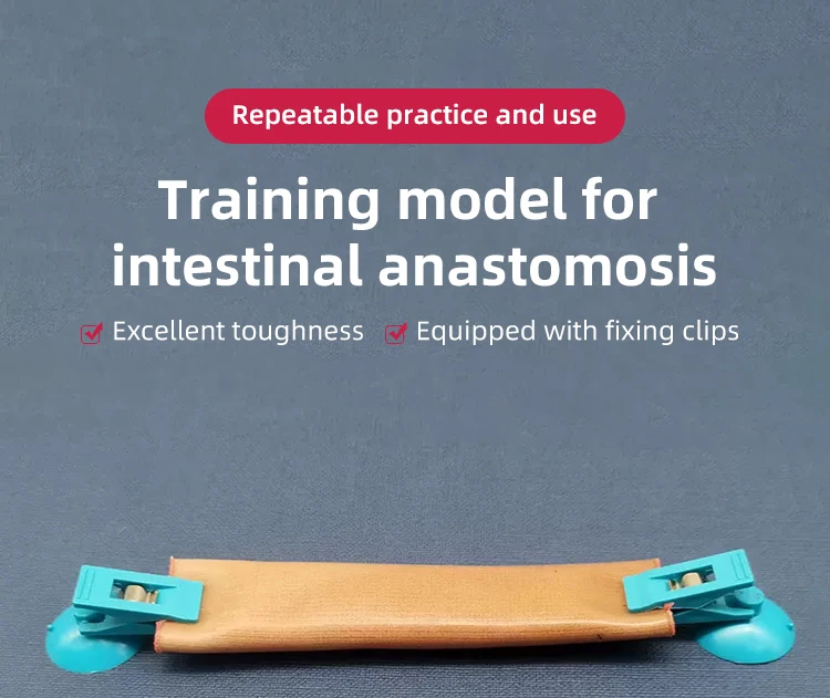 Nursing Suture Surgery Practice - Medical Education Model