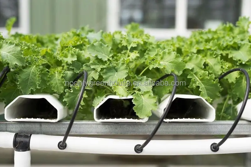 Agricultural Greenhouses - Smart Hydroponics & Vertical Farming