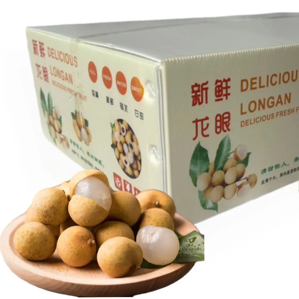 PP Corrugated Seafood Shipping Containers - Durable & Biodegradable