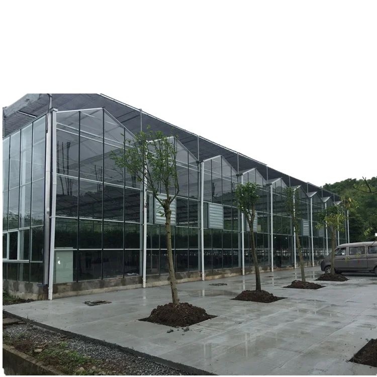 Sainpoly Fully Automated Hydroponic Green House Automation System For ...