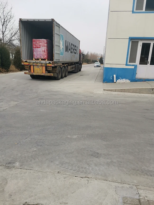 Custom Vacuum Frozen Shrimp Packaging Bags - Moisture Proof