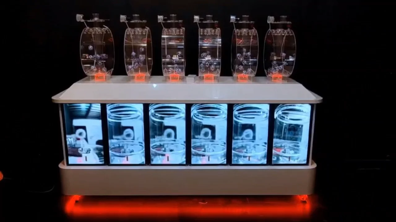 Standard 6D multi-cylinder lottery ball machine with TV to show lotto ...