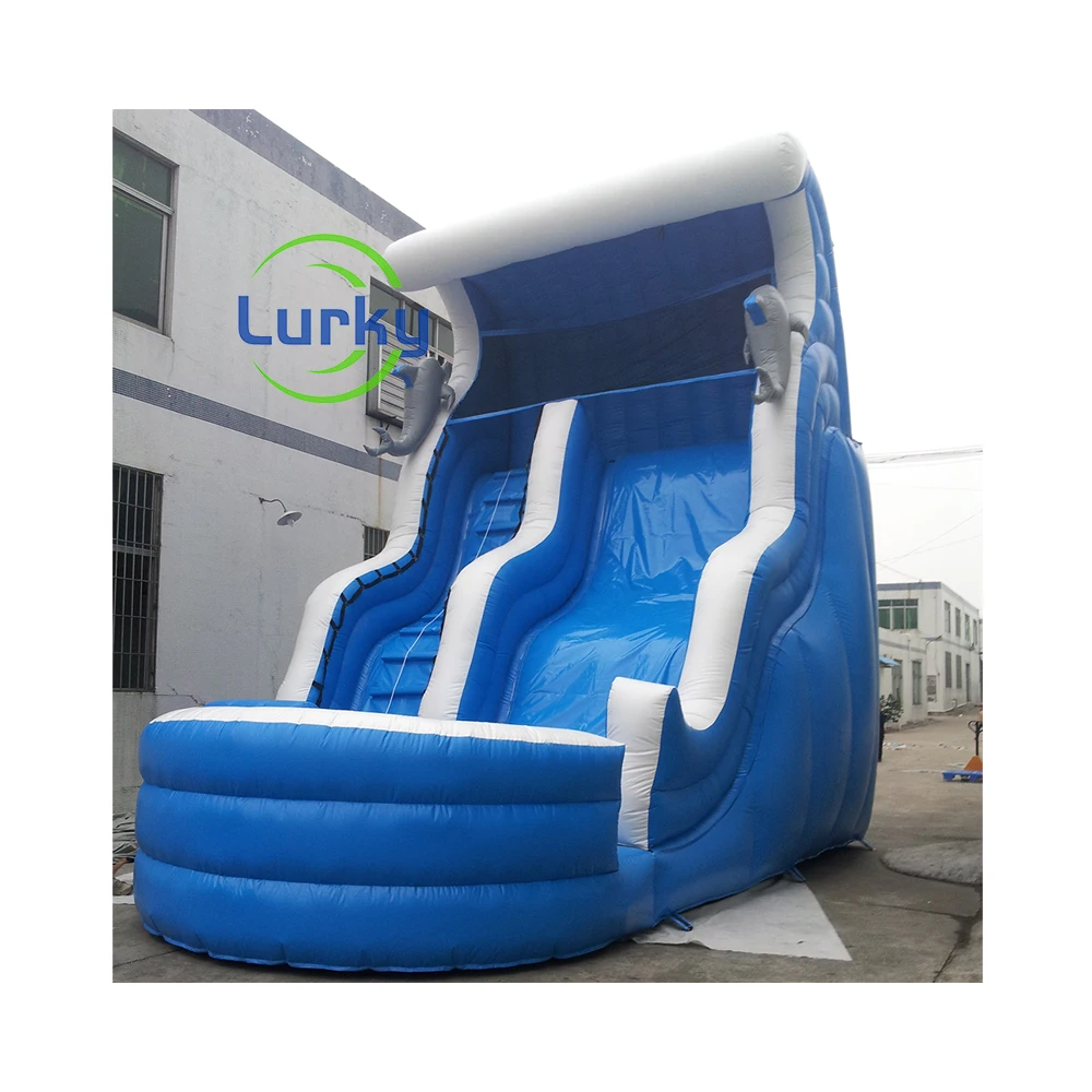 Inflatable Water Pool Slide Inflatable Water Slide Outdoor Slide And ...