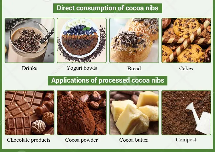 Shell Cacao Cracking Separator - Efficient Cocoa Bean Processing