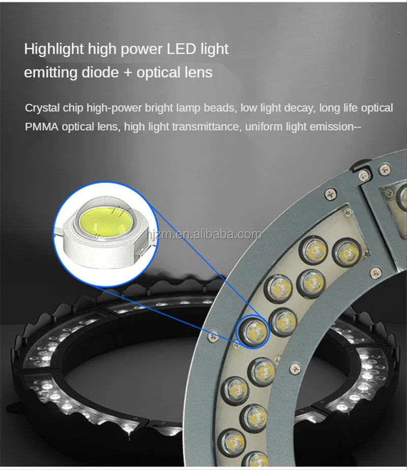 Palm Tree Ring Light - Holiday Decorative LED Lamp