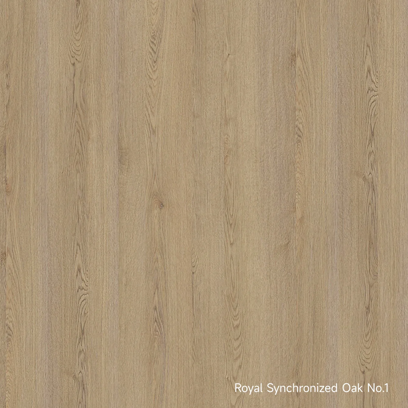 Synchronized Scarred Oak Wood Grain Melamine Board Faced With Germany ...