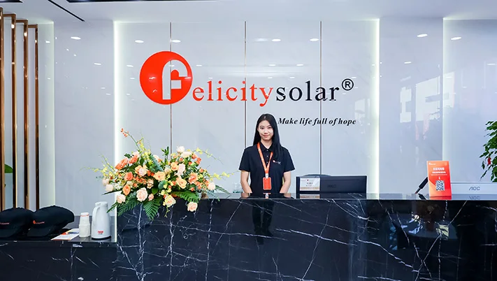 Felicity 3kva Hybrid Inverter - Pure Sine Wave Solar Power