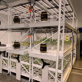 Buy Agriculture Modern 4x8ft Vertical Grow Rack With Water And Light ...