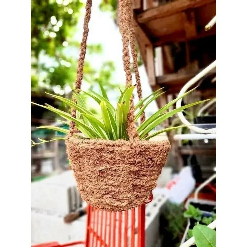High Quality Strong And Durable Cord Craft Nature Coir Rore With Custom ...