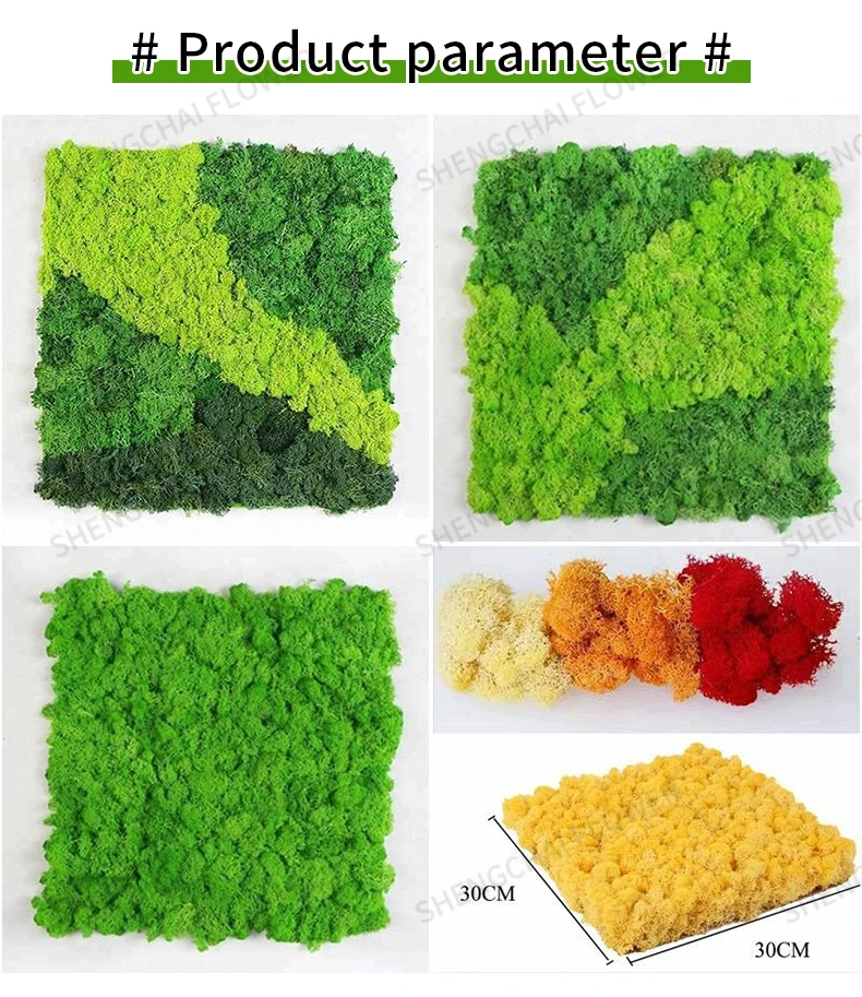 Simulation Moss Grass Wall Artificial Green Plant Preserved Immortal ...